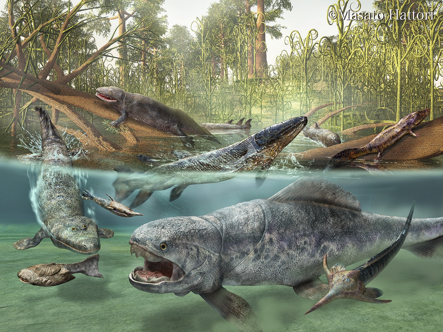 Devonian Period: Climate, Animals & Plants | Paleontology World